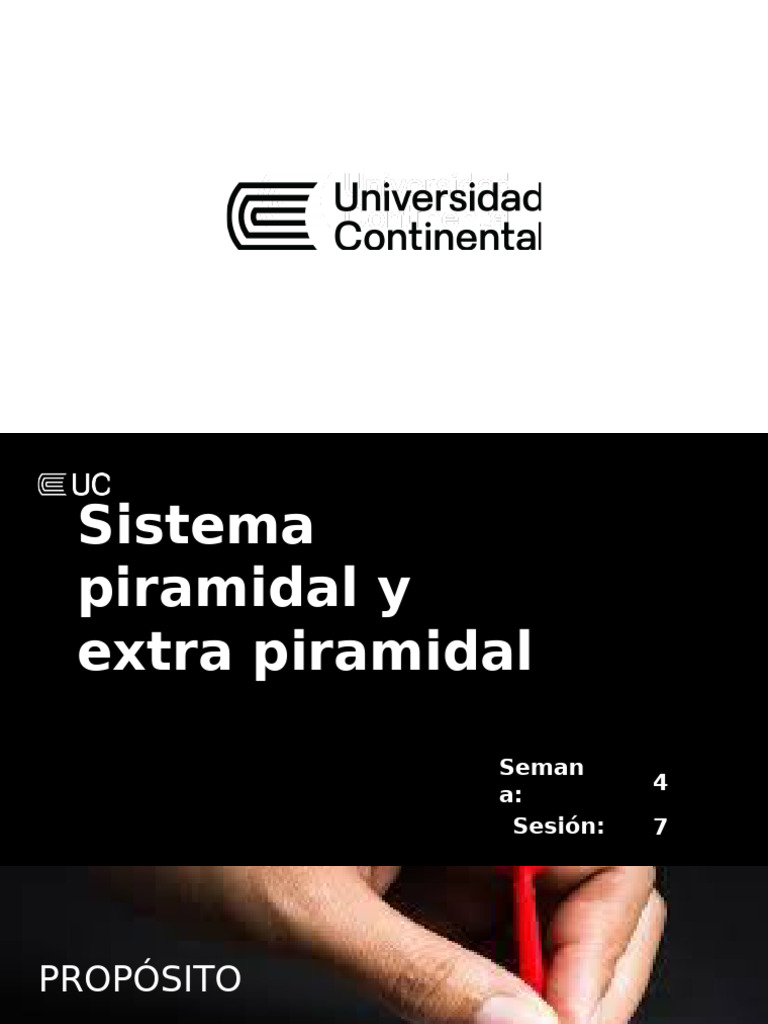 Semana 04 - S4 Sistema Piramidal y Extrapiramidal | PDF | Cerebelo ...