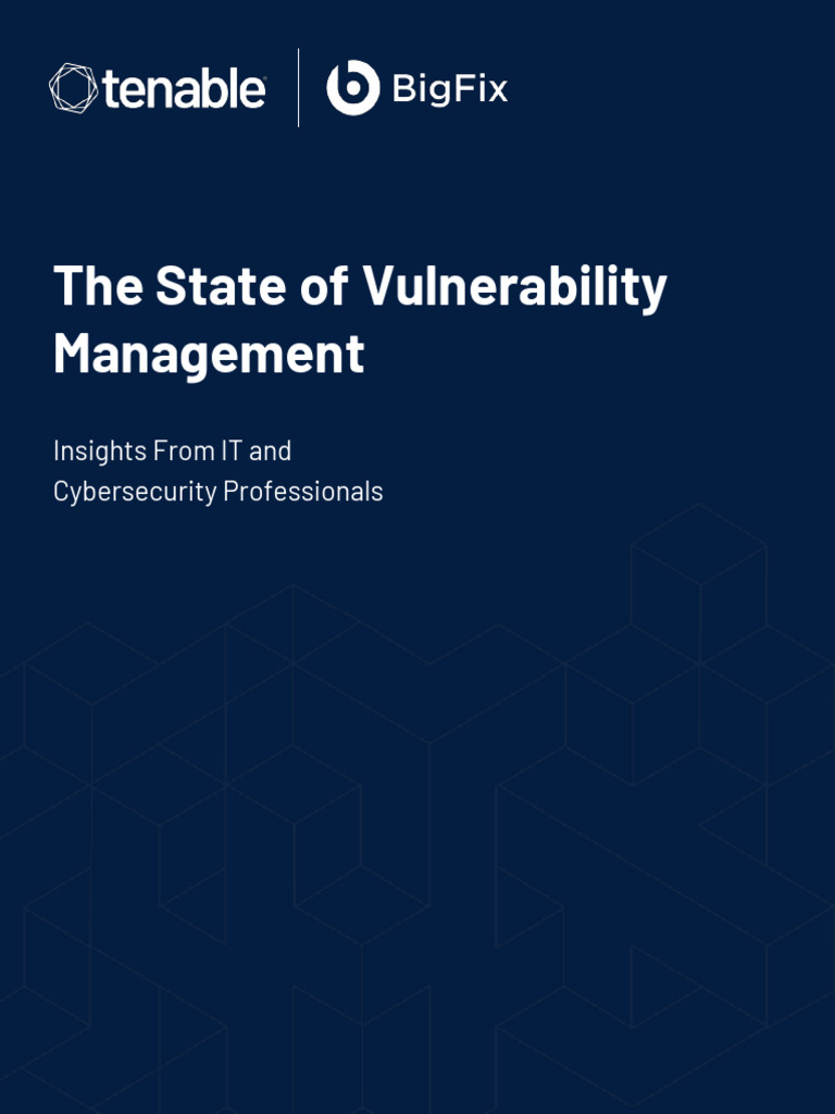 Whitepaper-The State of Vulnerability Management | PDF | Computer Security | Security