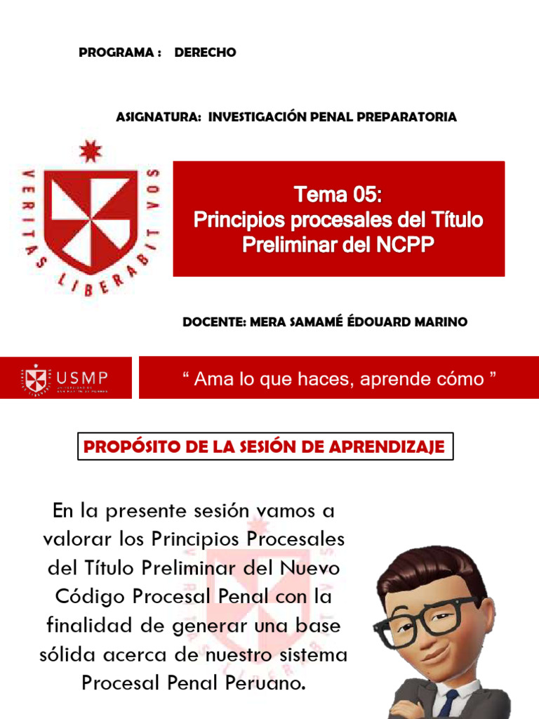 SEMANA 05 IPP | PDF | Ley procesal | Derecho penal