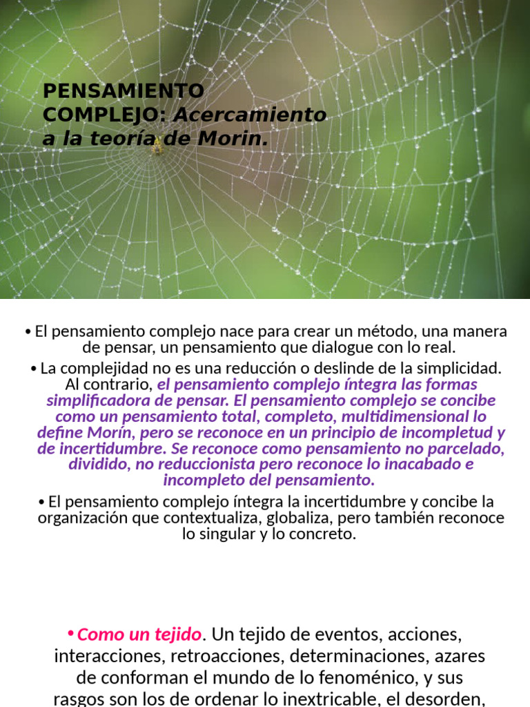 Pensamiento-complejo | PDF | Complejidad | Pensamiento