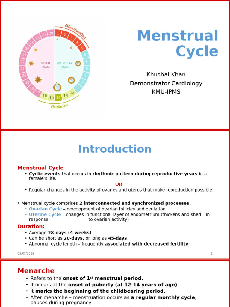 Lecture 36 - Menstrual Cycle | PDF | Menstrual Cycle | Ovary
