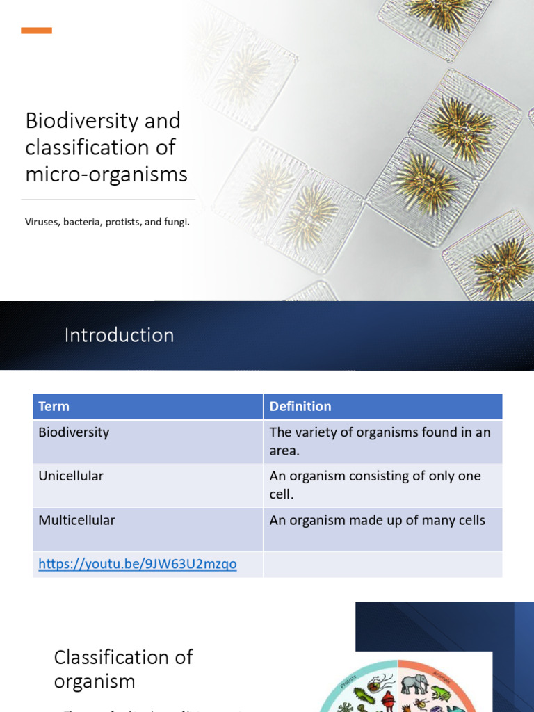 Micro-organisms: Types and Roles | PDF | Bacteria | Immune System