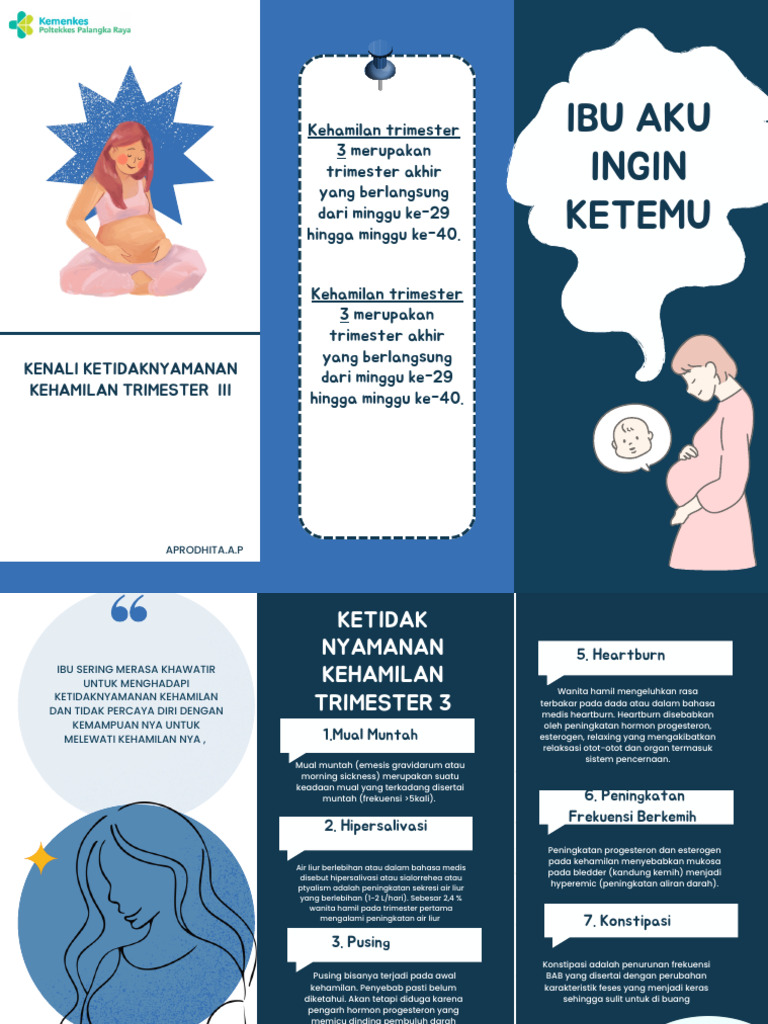 Leaflet Kehamilan | PDF