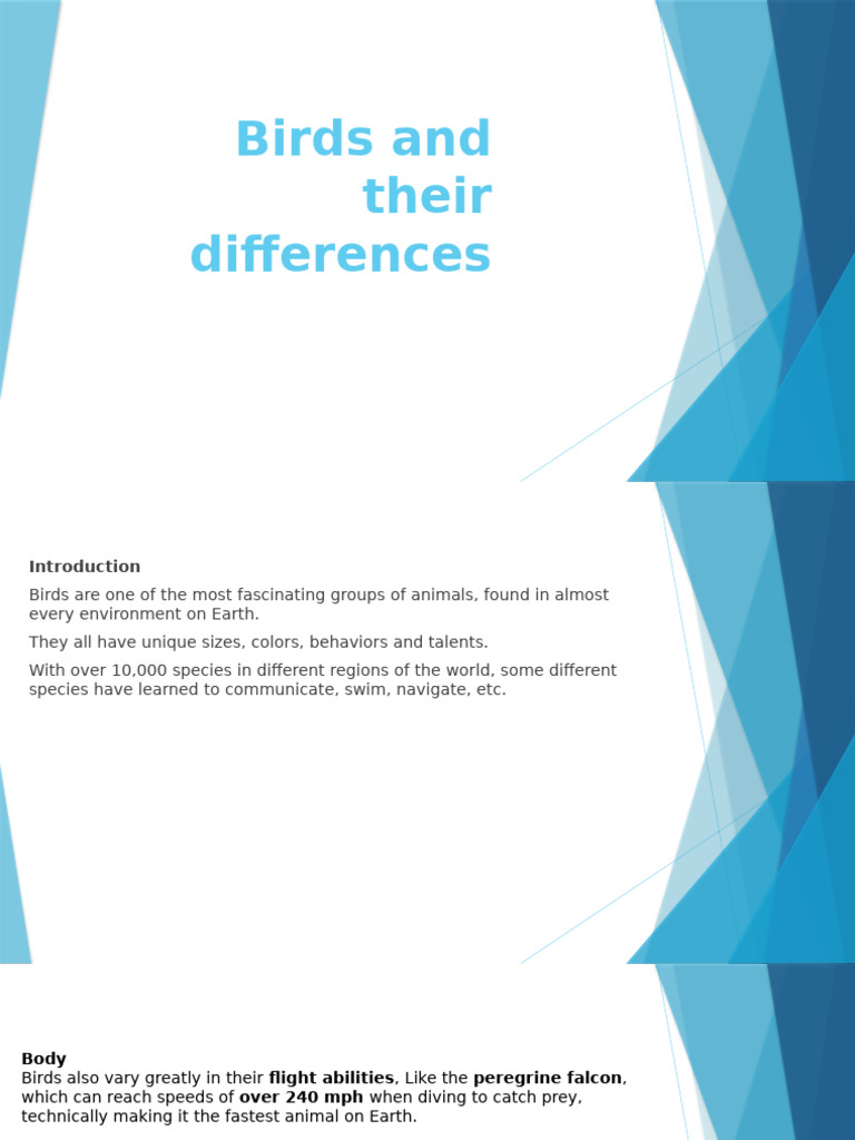 Unique Bird Species and Abilities | PDF