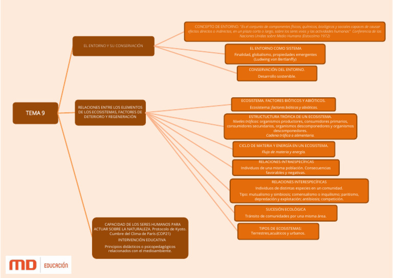 Mapa Conceptual Tema 9 | PDF | Ecosistema | Red alimentaria