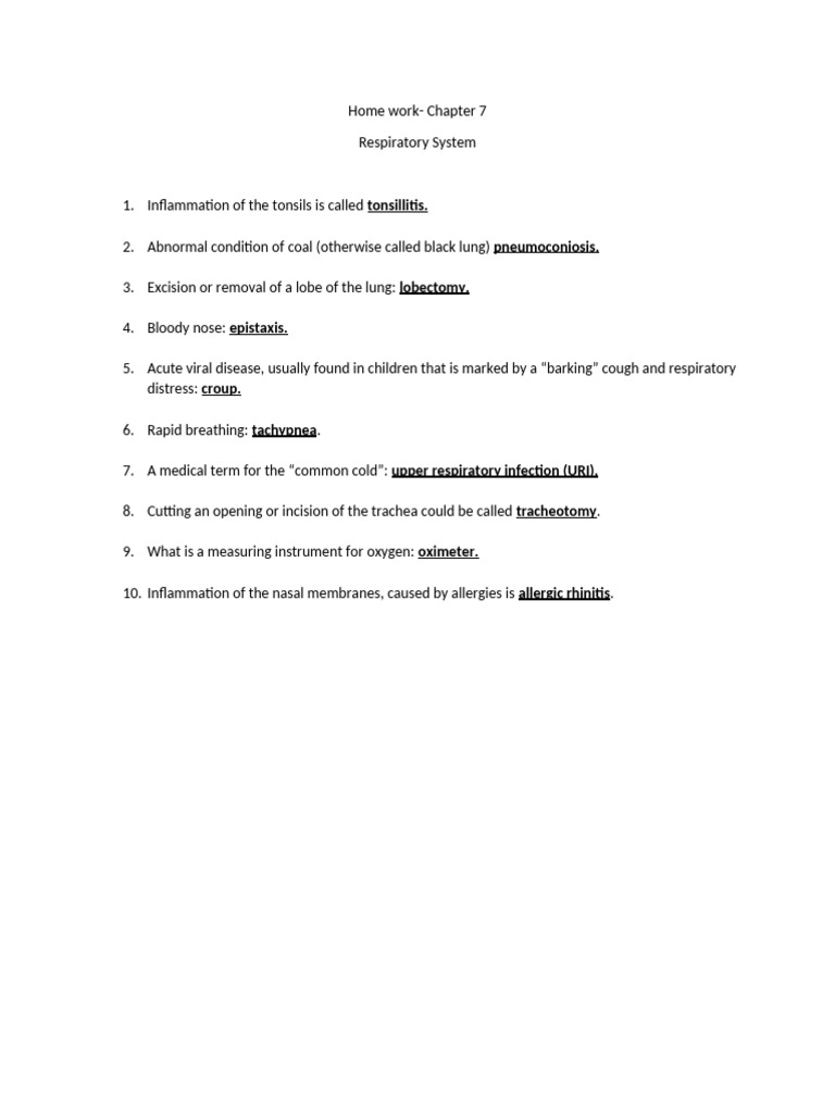 Aynnie Hamilton - HRO 100 Chapter 7 Respiratory System | PDF