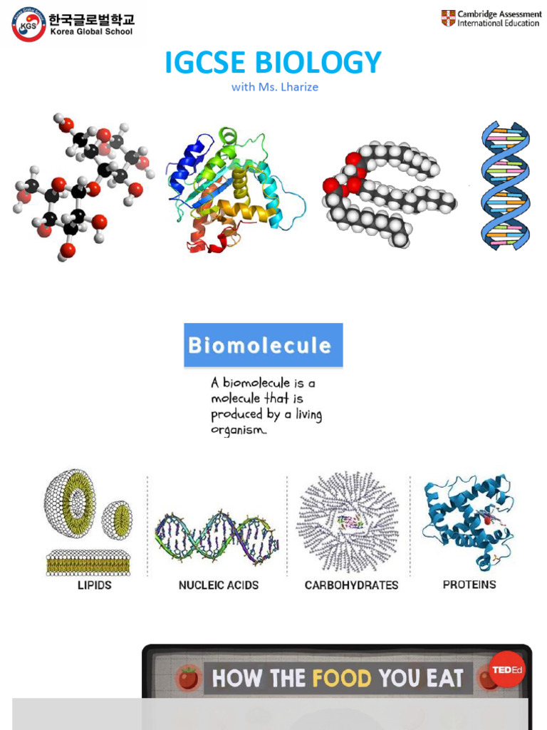 Grade 10 IGCSE Biology - Biological Molecules - Carbohydrates | PDF ...