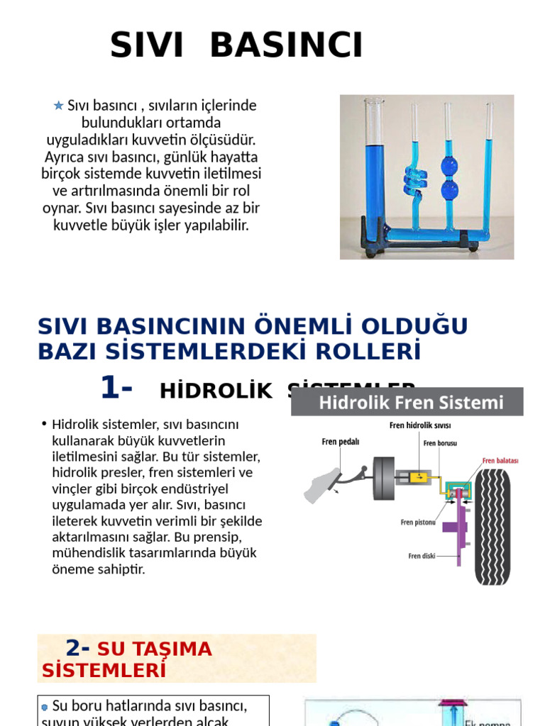 Sivi Basincic | PDF