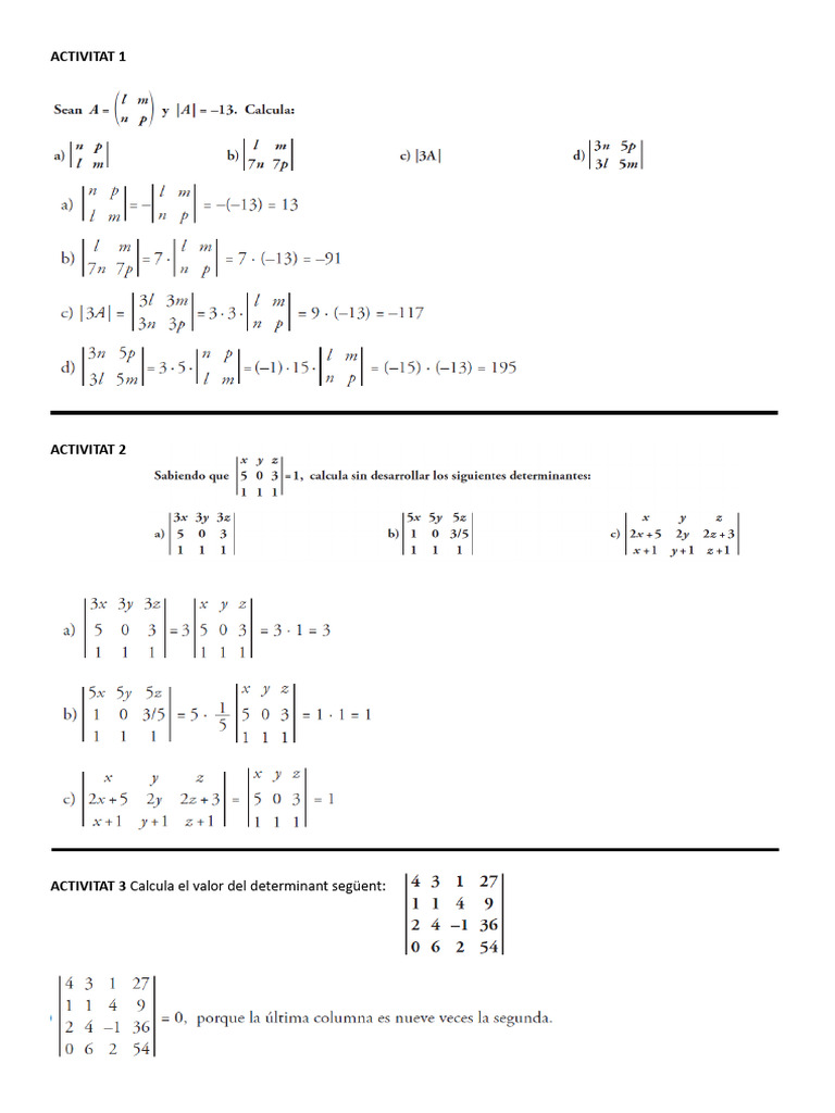 solucions repàs determinants (2) | PDF