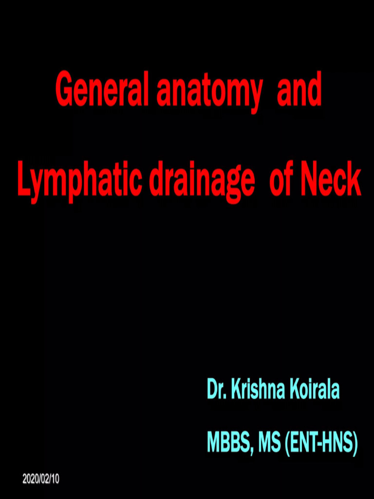 Anatomy of Neck | PDF