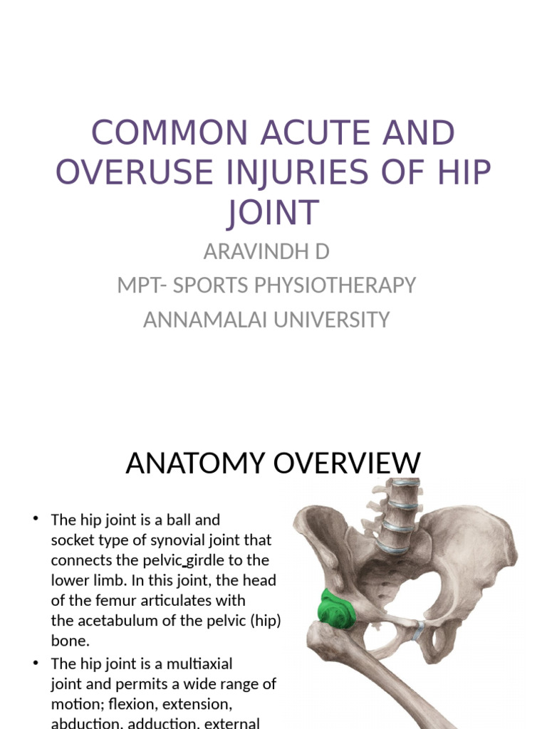 Hip Injuries: Causes and Symptoms | PDF | Hip | Anatomical Terms Of Motion