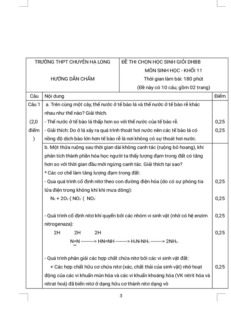 Split_20250304_0037 | PDF