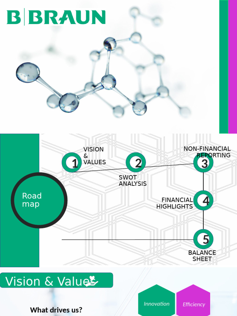 BBraun Financial Accounting | PDF | Swot Analysis | Sustainability