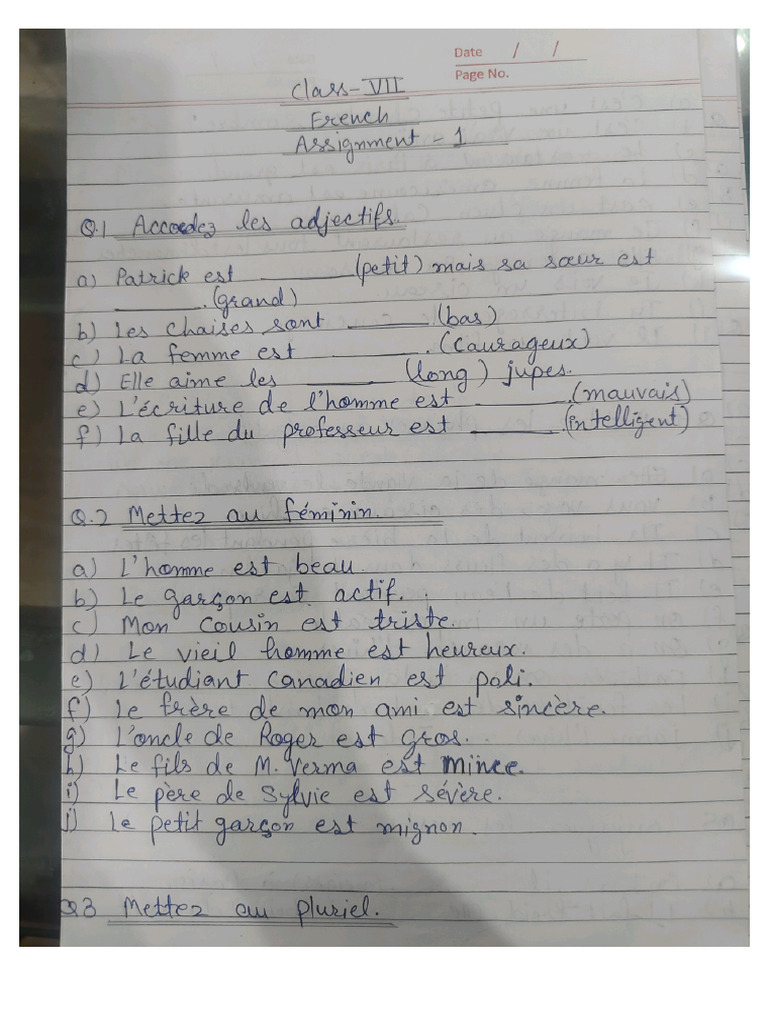 French Revision Assignment For Final Exam Class 7 | PDF