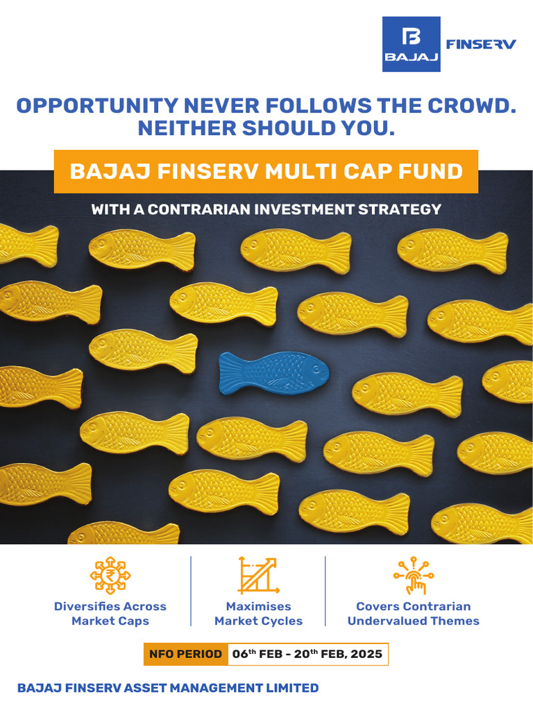 Multi Cap Fund (One Pager) 17 (9.50) High Res | PDF | Investing ...