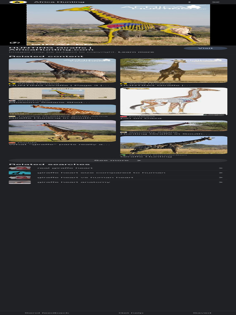 Giraffe Shot Placement - Google Search | PDF