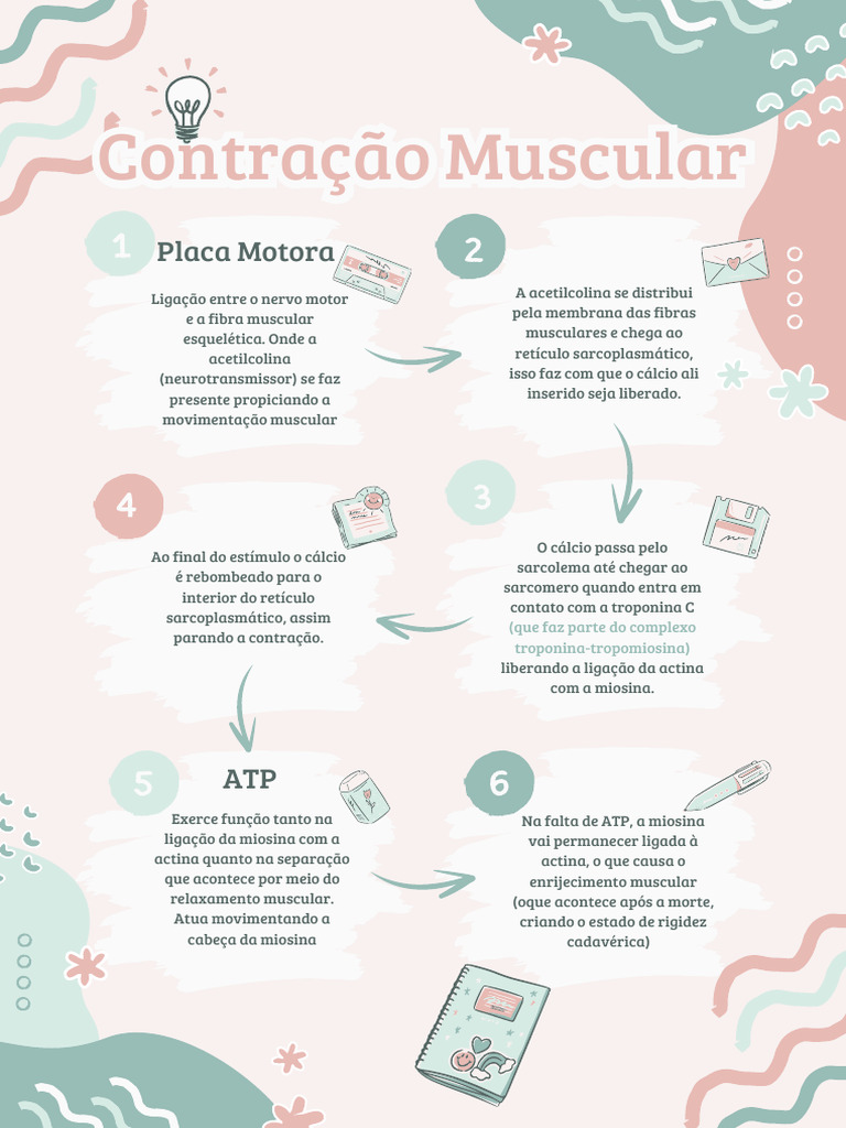 Mecanismo da Contração Muscular | PDF