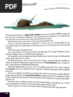 Die Vlieende Hollander | PDF