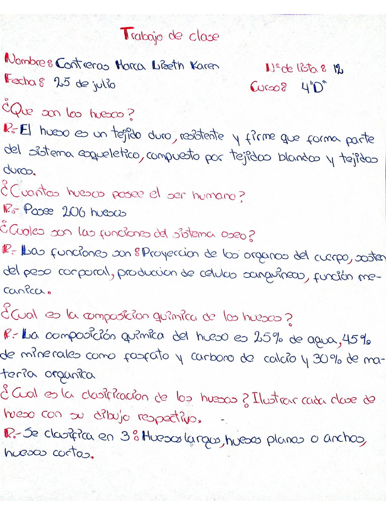 Trabajo de Clase | PDF