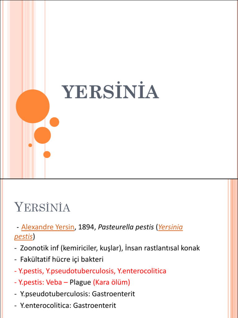5) Yersinia | PDF