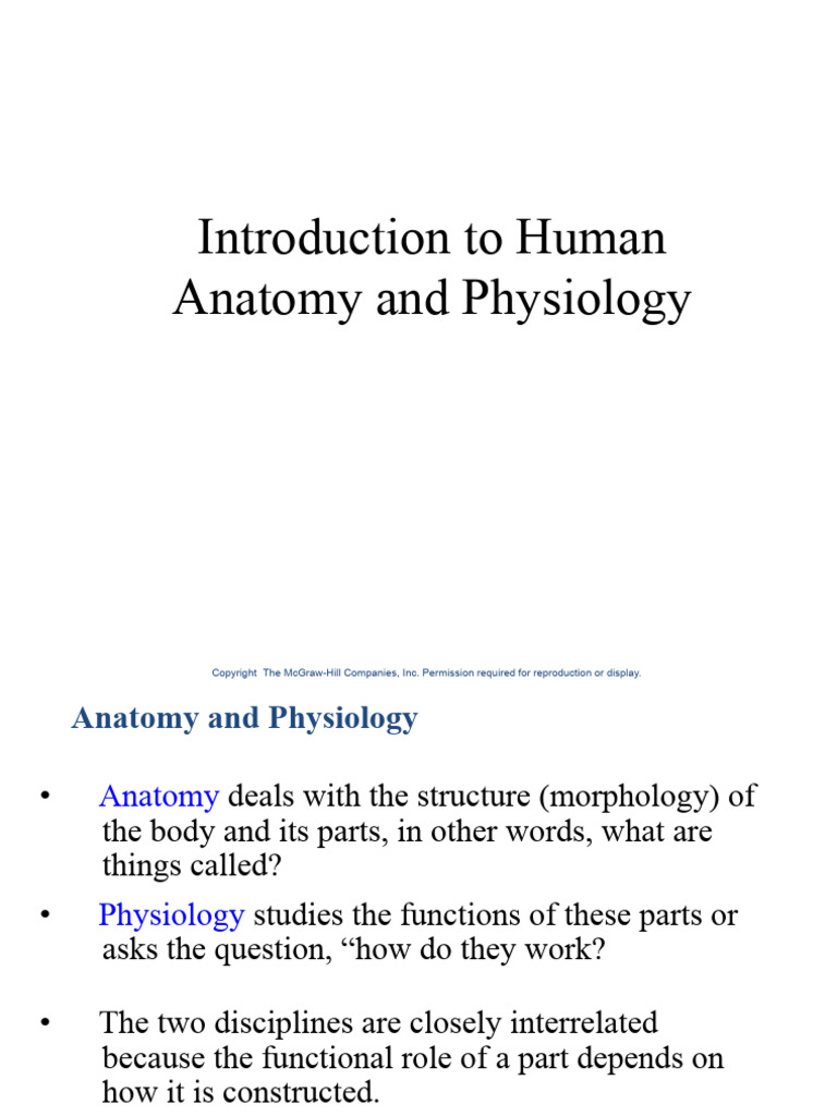CHP 4. | PDF | Human Body | Homeostasis