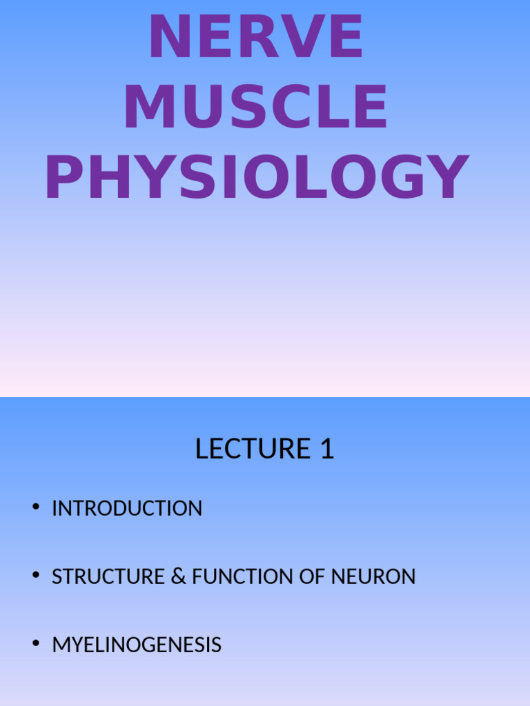 Nerve Muscle Physiology | PDF | Axon | Myelin