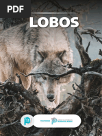 Anexo Lobos Continuemos Estudiando | PDF | Zoología