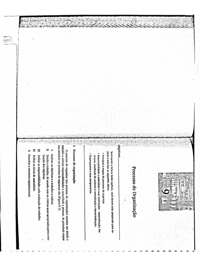 Livro Da Disciplina Cap 09 Processo Organizacao | PDF