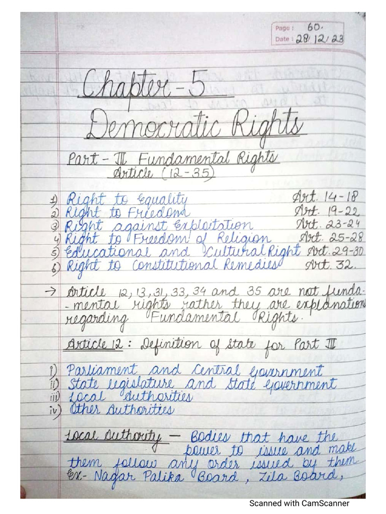 Chapter 5 Democratic Rights | PDF