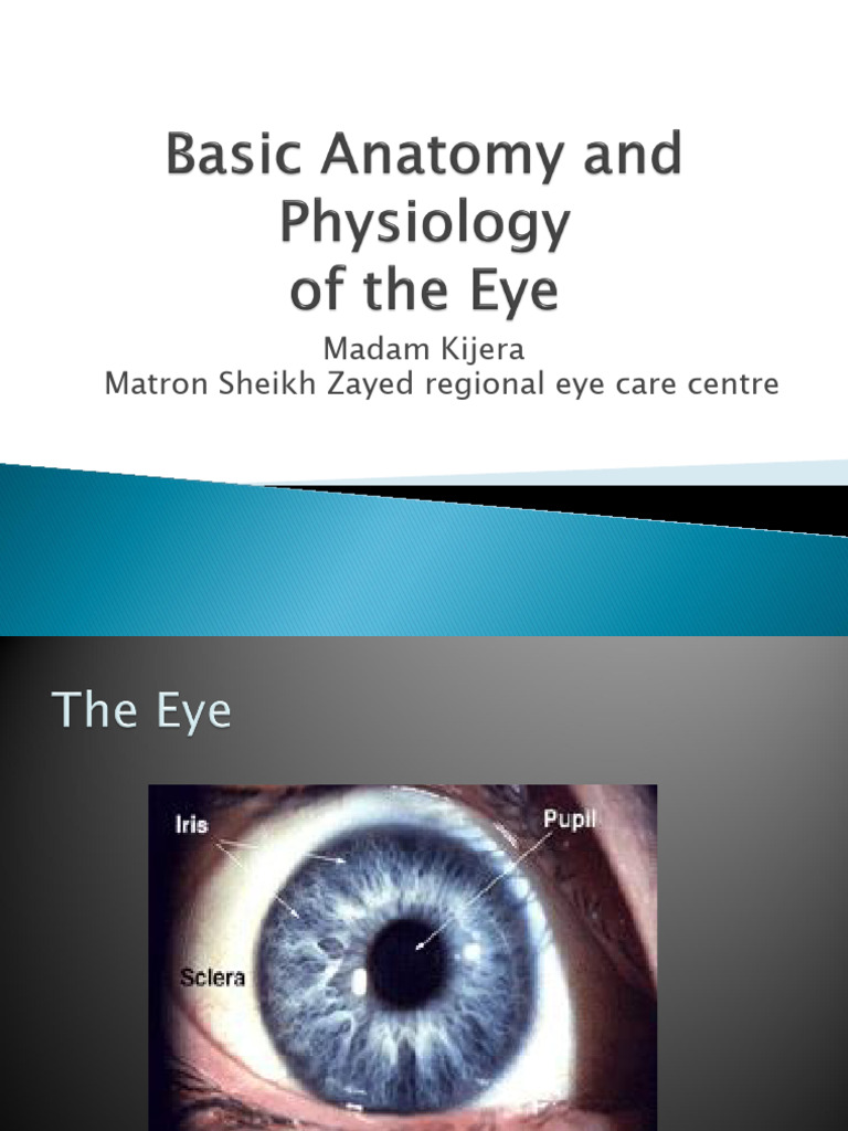 LECTURE ONE Anatomy & Physiology of The Eye 2020 | PDF | Cornea | Human Eye