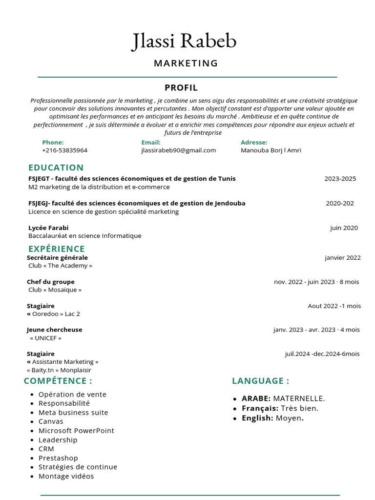 Nouveau CV | PDF | Commercialisation | Business