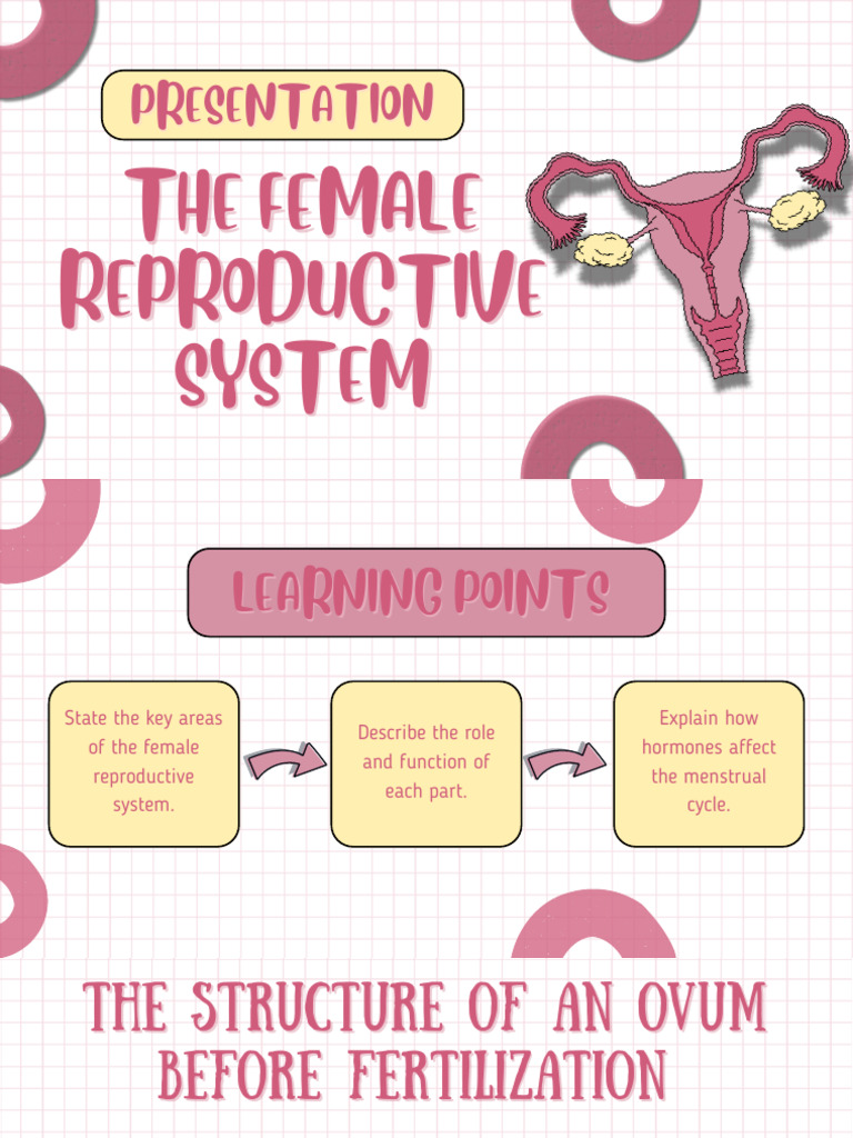 Female Reproductive System Biology PDF | PDF | Menstrual Cycle ...
