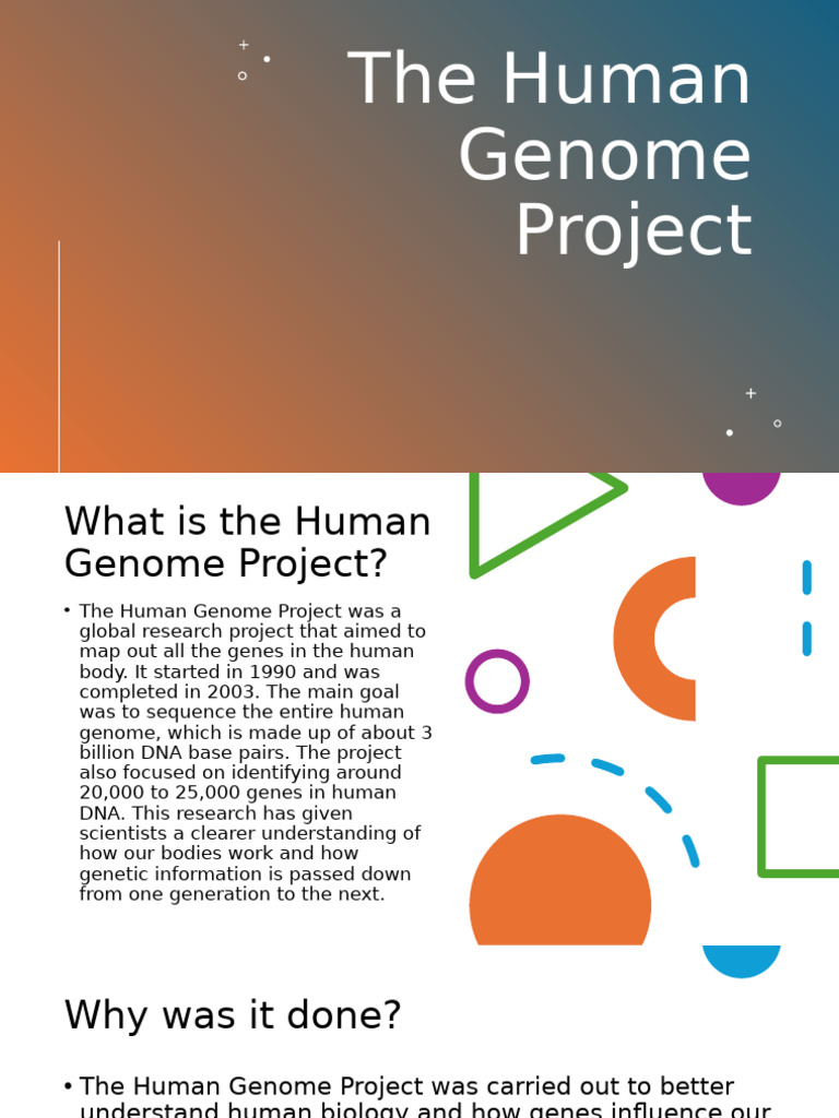 Human Genome Project Insights | PDF | Human Genome | Genetics