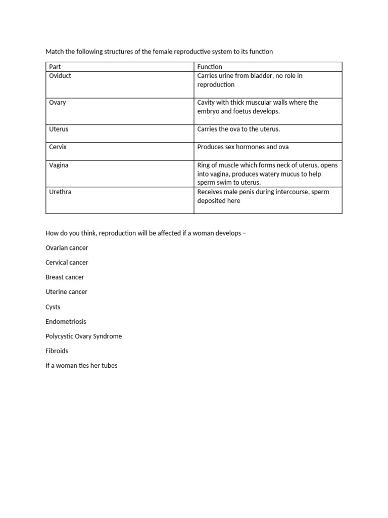 Questions On Female Reproductive System | PDF