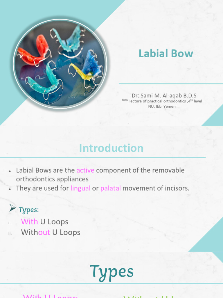 Labial Bow Types in Orthodontics | PDF