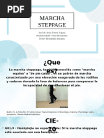 Marcha de Steppage | PDF | Pie | Rodilla