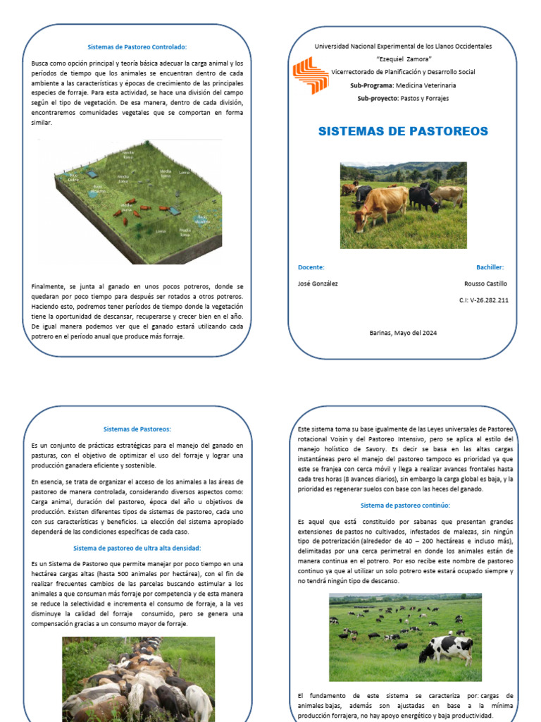 Sistemas de Pastoreo Continuo | PDF | Pasto | Pasto