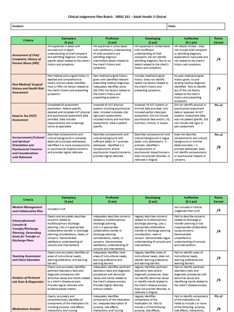Clinical Judgement Plan Rubric | PDF | Medical Diagnosis | Apa Style