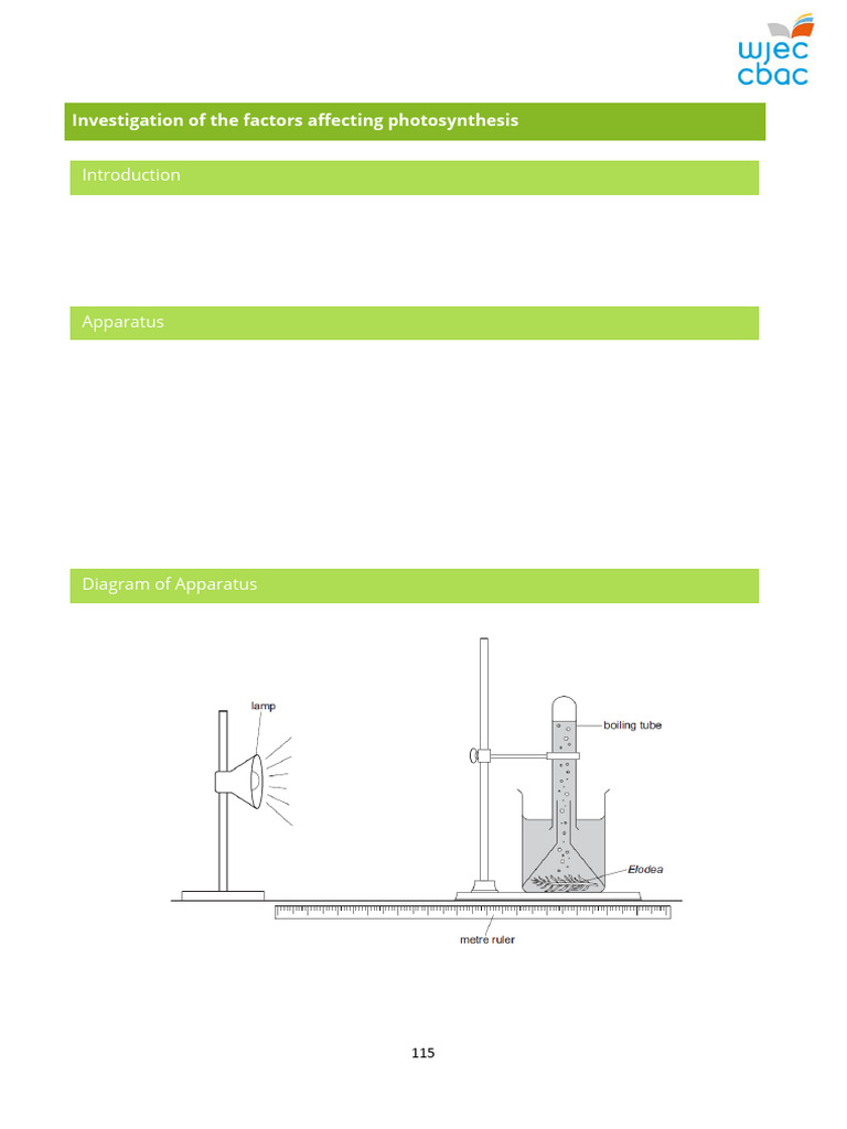 Factors Affecting Photosynthesis | PDF | Experiment | Accuracy And Precision