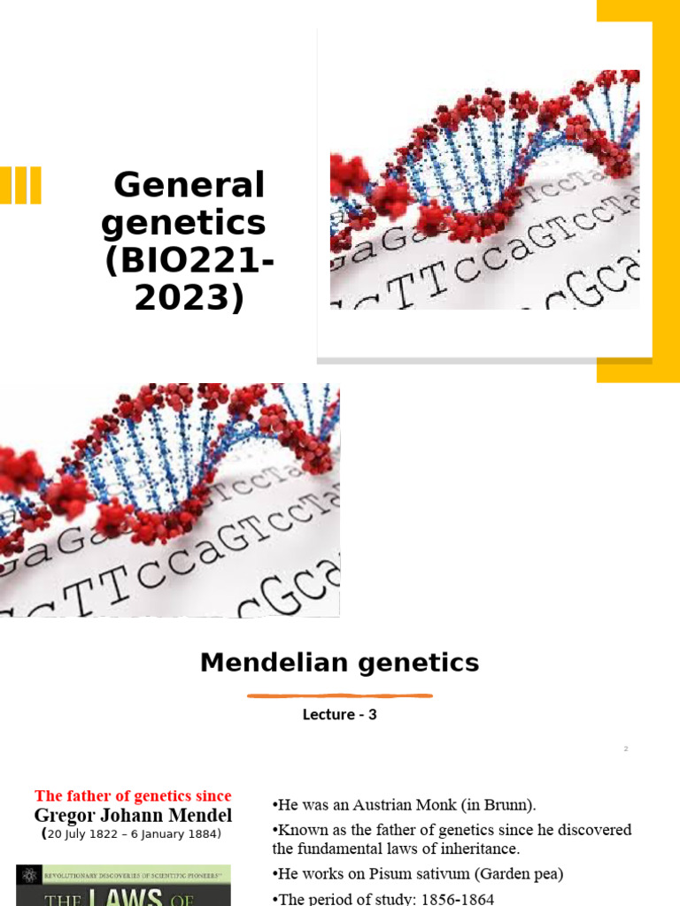 L3- Mendelian Genetics-2023 - Tagged | PDF | Dominance (Genetics) | Genotype