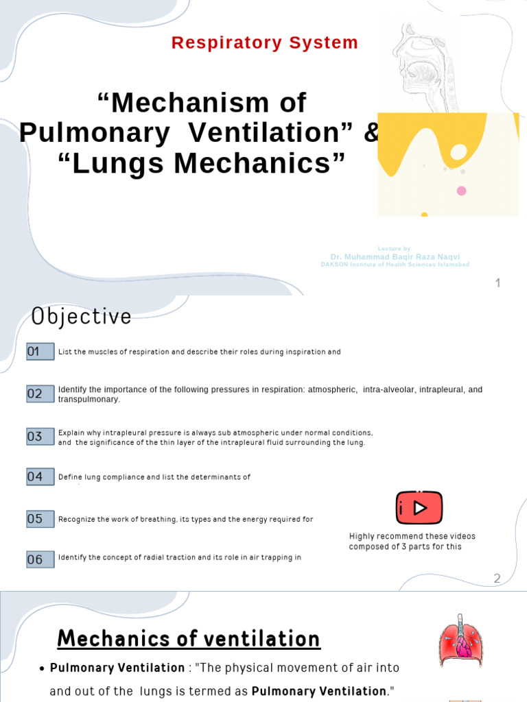 Mechanism of Pulmonary Ventilation Respiratory Ventilation - PPTX ...