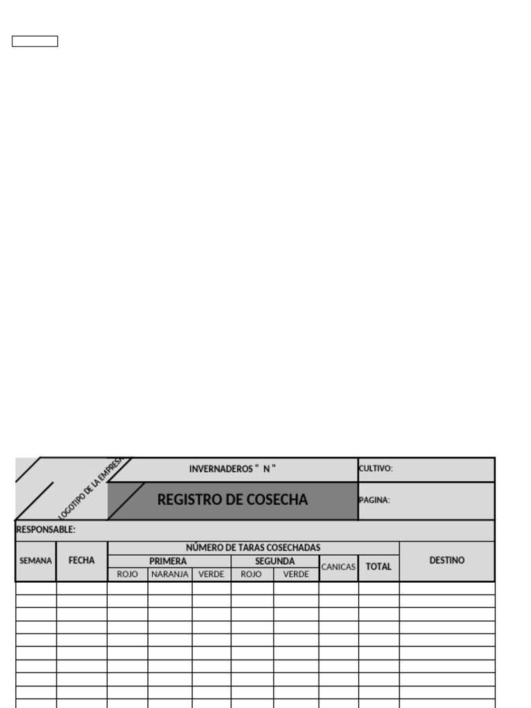Formatos de Registros | PDF