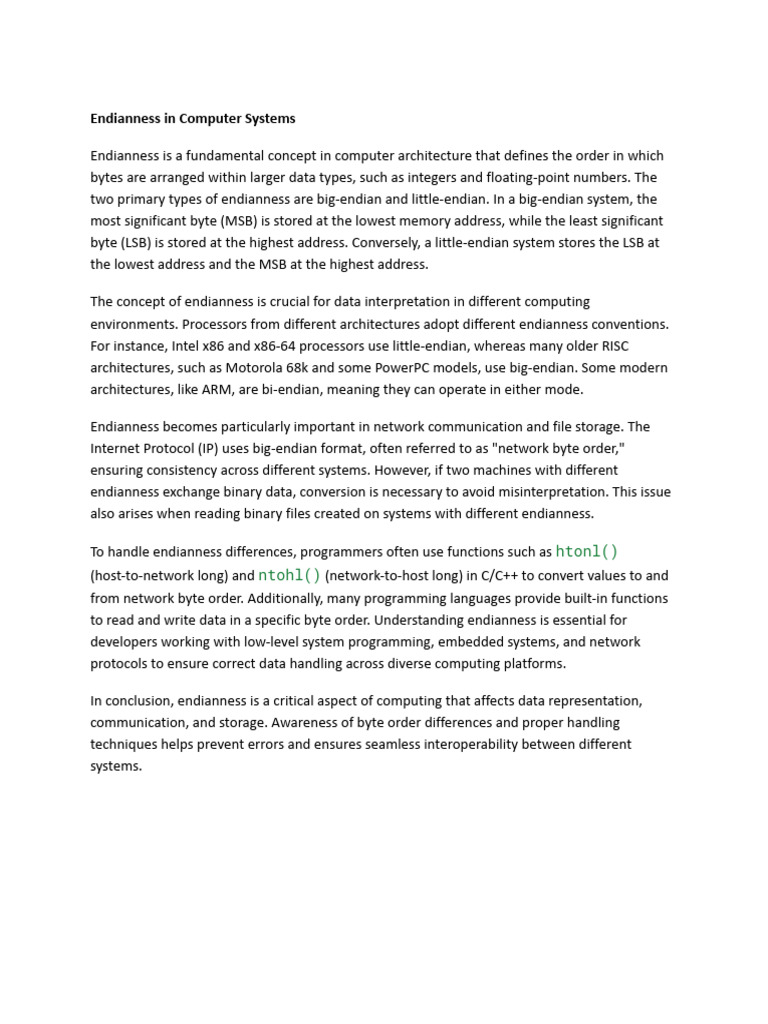Endianness Essay | PDF