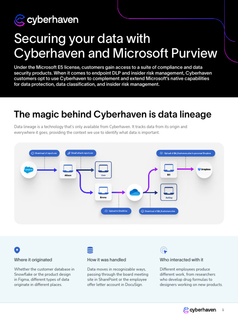 Cyberhaven and Microsoft - 20230712 | PDF | Databases | Microsoft
