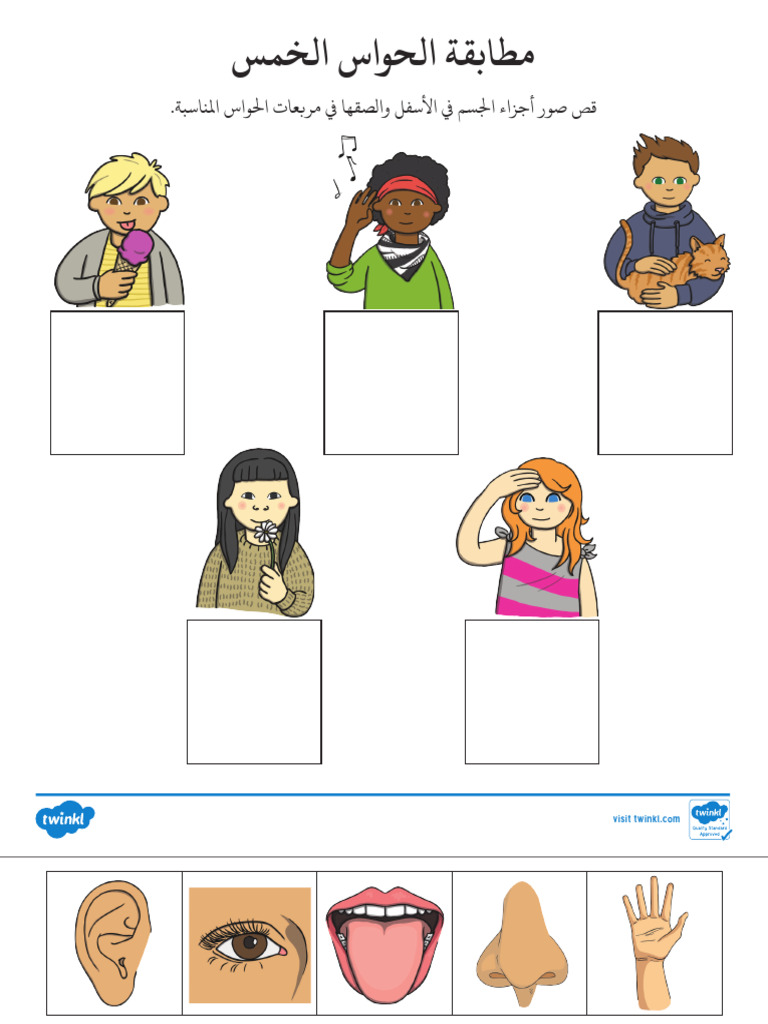 AR SC 10 Five Senses Matching Activity Sheet Arabic Ver 2 | PDF