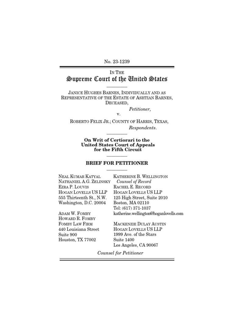 Supreme Court Brief on Excessive Force | PDF | Common Law | Public Law