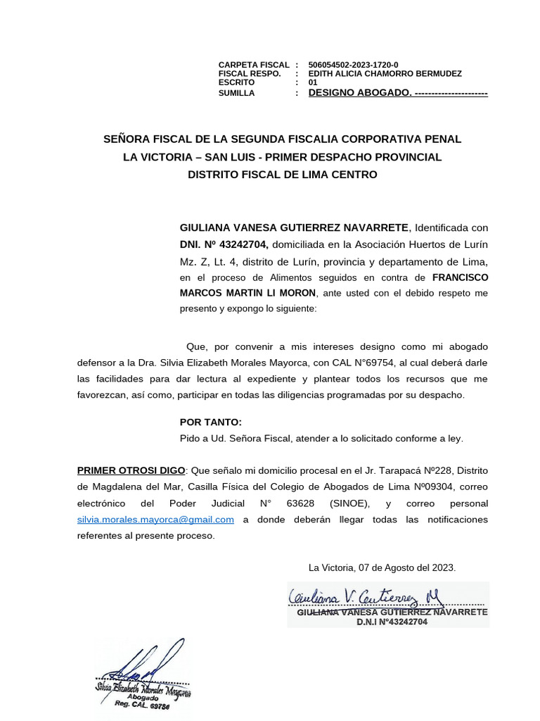 Designo Abogado Defensor | PDF