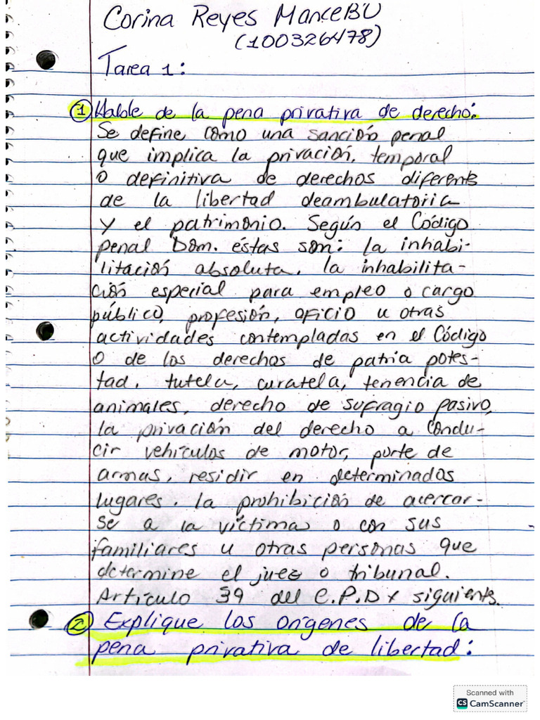 Tarea 1 Penitenciario Corina Reyes 100326478 | PDF