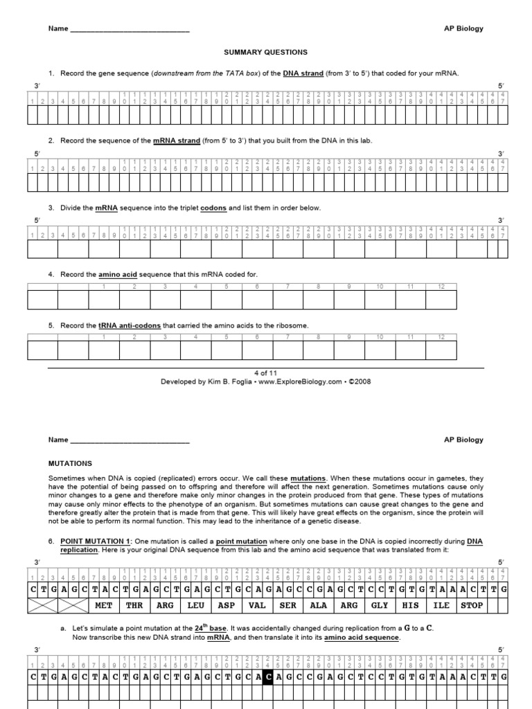 Lab Protein Synthesis 2008 | PDF | Mutation | Gene