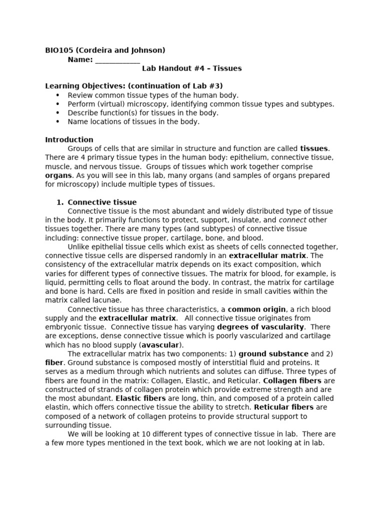 Human Tissue Types Lab Guide | PDF | Connective Tissue | Tissue (Biology)
